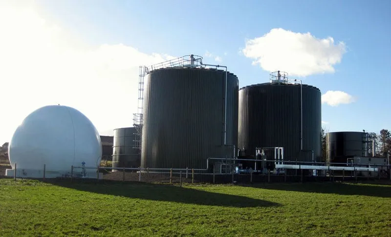 BSL Dual Membrane Biogas Storage Balloon Gas Tank - Efficient ...