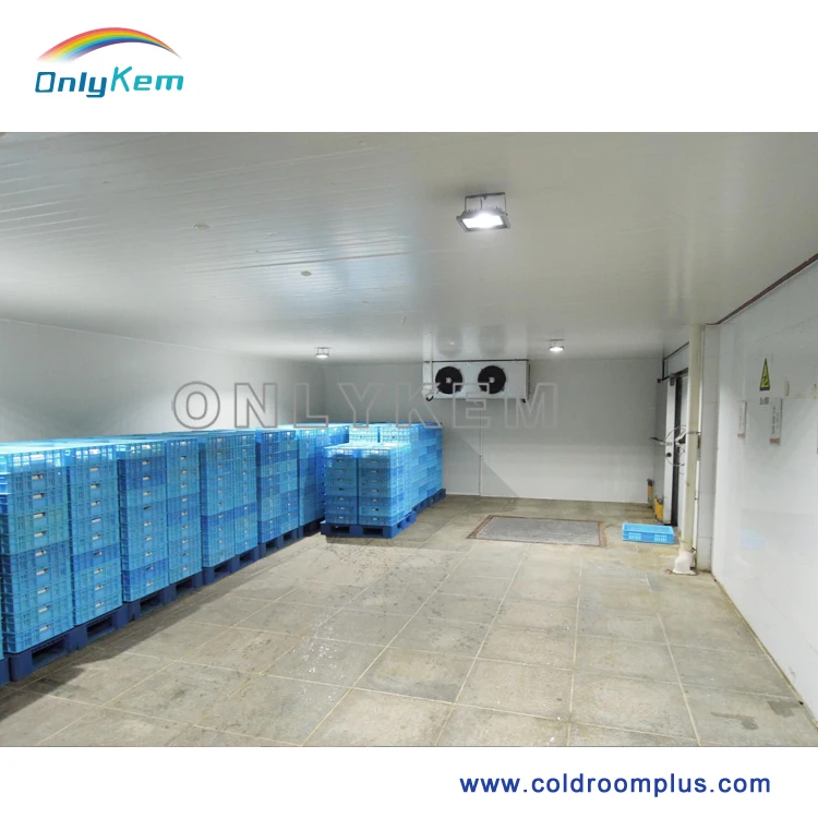 Cold Storage Project,Cold Room Freezer For Fish - Buy Cold Storage ...
