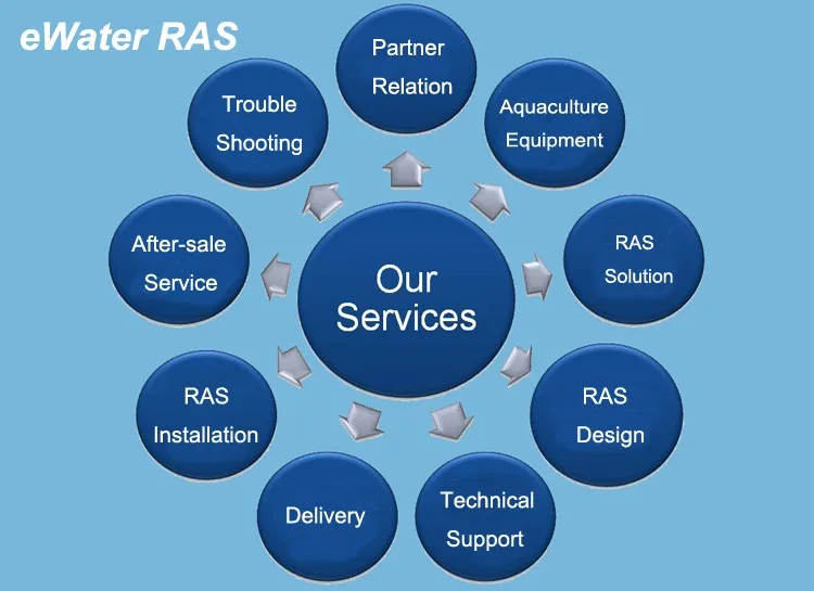Ras/recirculation Aquaculture System Layout Design/indoor Fish Farming ...