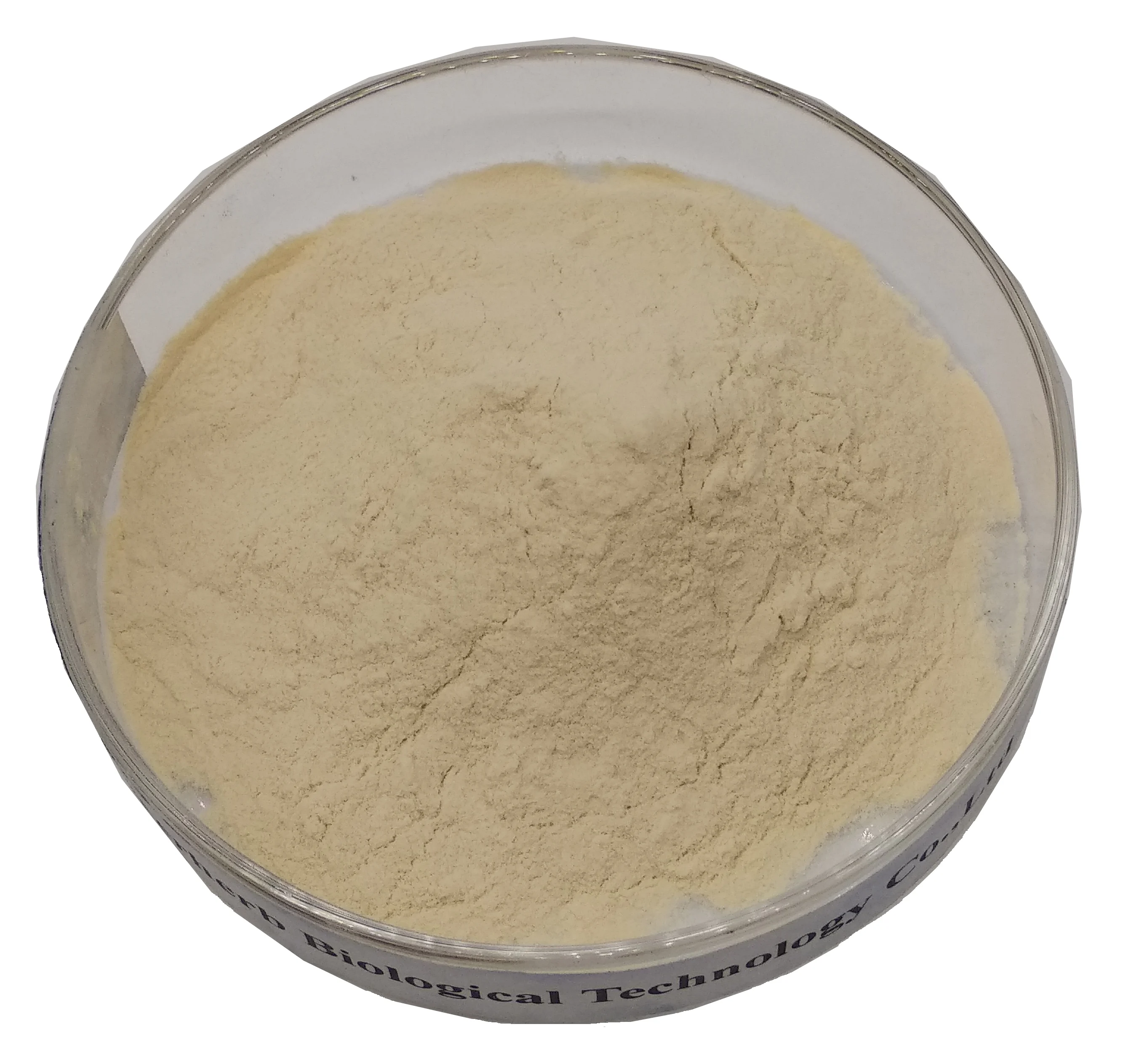 Hydrolyzed Organic Non-gmo Pea Protein Isolate 85% Bio Fermented Pea ...