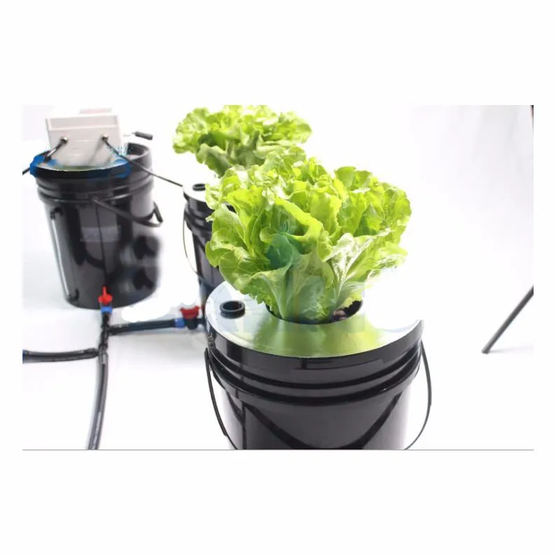 Automatic Hydroponic Growing System Automated Auto Pot - Buy Automatic ...