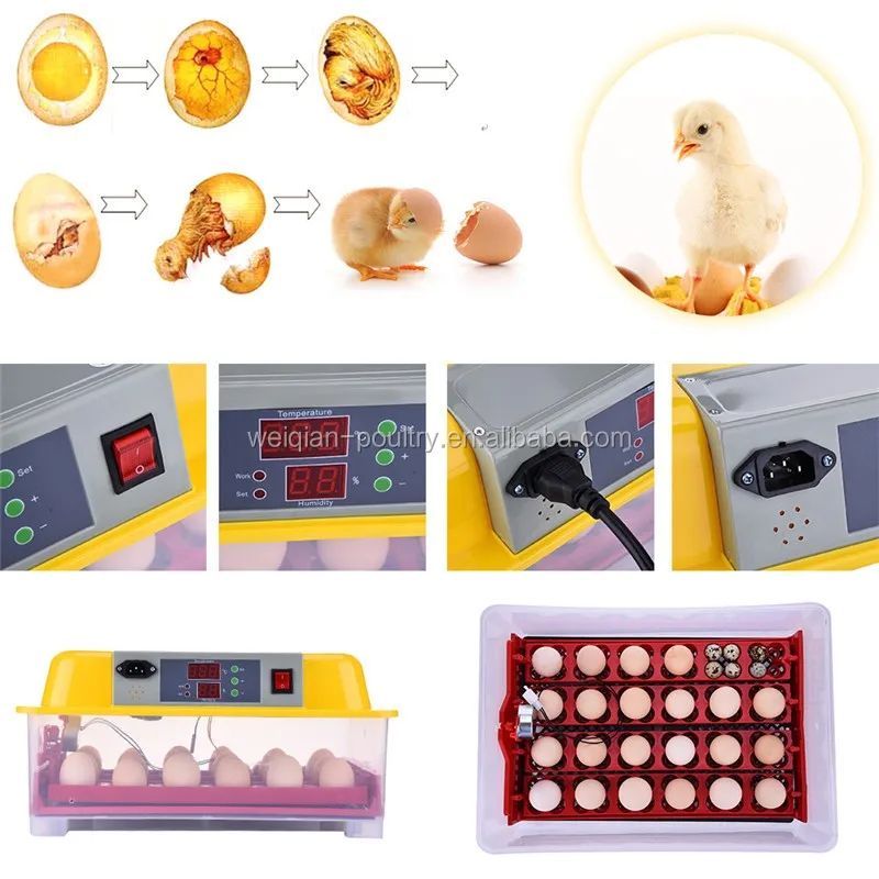 Hot Selling Cheap Chicken Egg Incubator For Sale 24 Eggs Incubator For ...