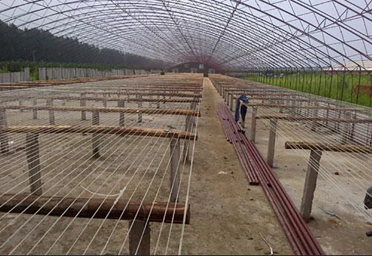 Greenhouse Polyester Wire Vineyard Trellis Wire - Buy Polyester Wire ...