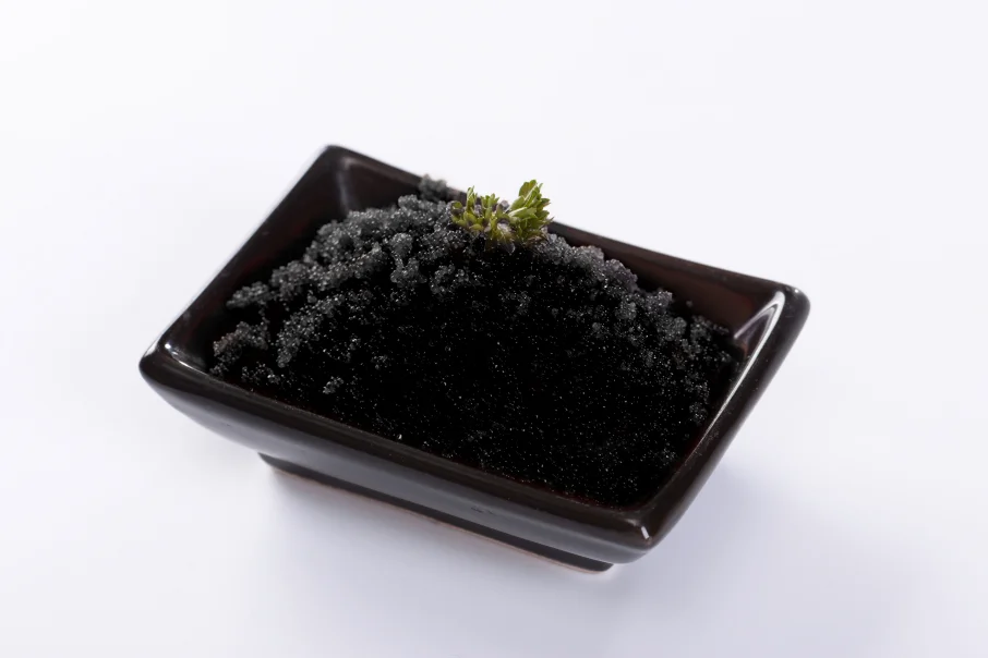 Gold Quality Black Ikura Fish Roe Tobiko - Buy Black Tobiko Roe,Tobiko ...