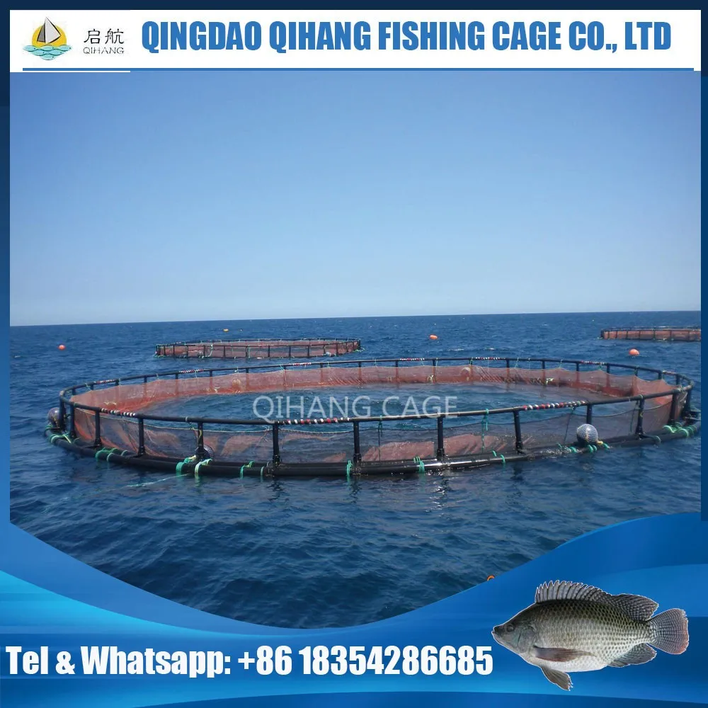 Circular Fish Cages Floating for Fish Farming in Kenya