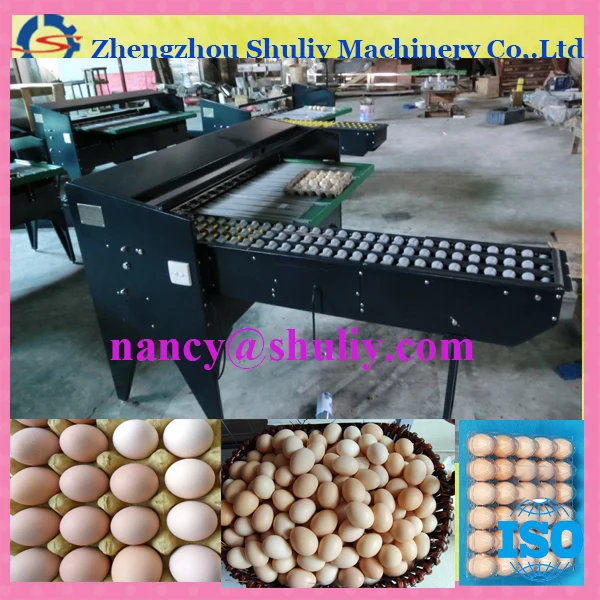 Poultry Egg Sorting Machine Chicken Egg Sorter Machine With Best ...