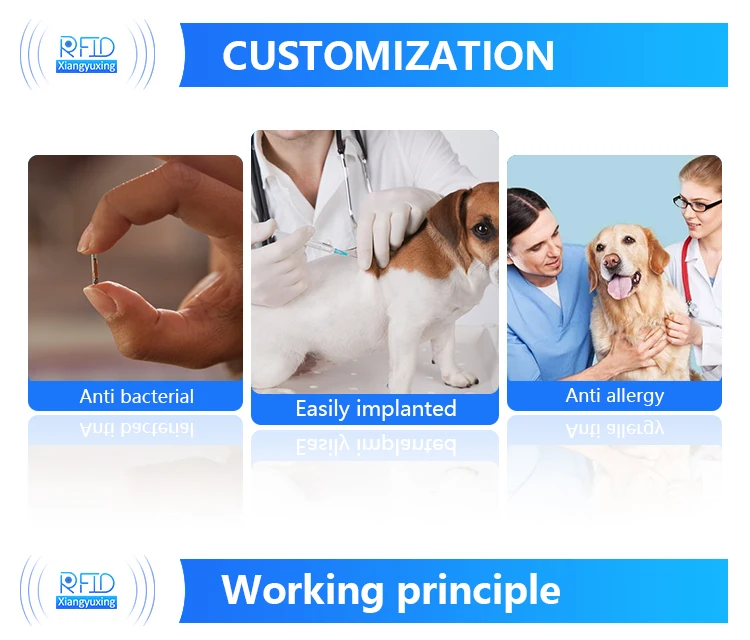 NFC Glass Capsule Tag | Waterproof RFID Chip Tracker | OEM/ODM