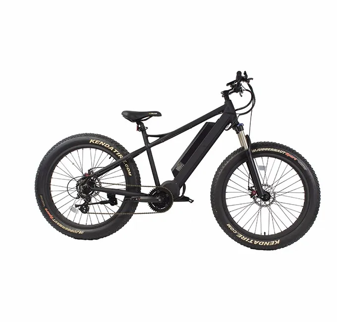 2018 Mozo Suspension Fork with 1000w Bafang Motor E-bike