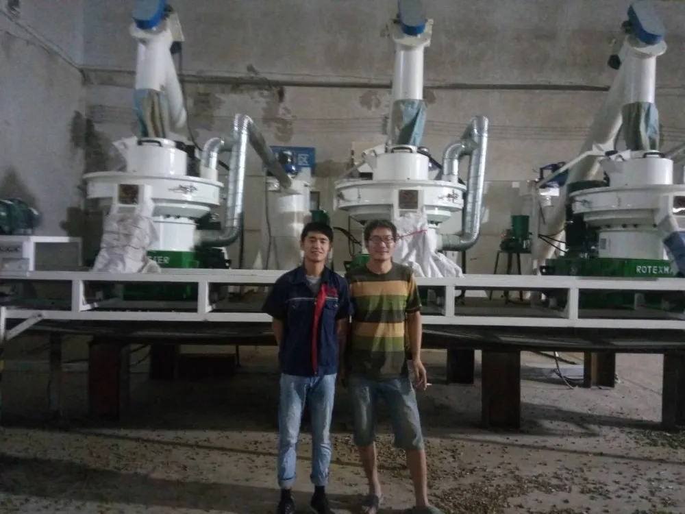 Automatic Lubrication System 2-3 T/h Wood Pellet Machine/rice Husk ...