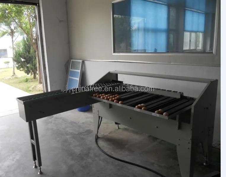 Factory Direct Supply High Efficiency Egg Candling Machine/chicken Duck ...