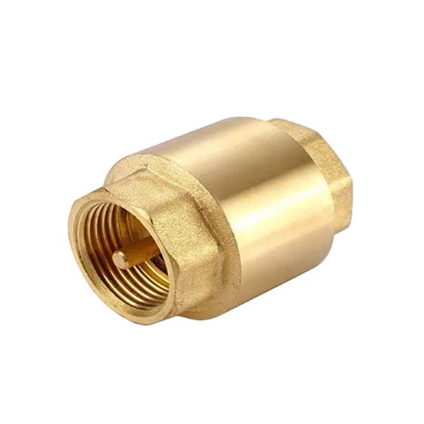 DN25 Non Return Valve with PPR Fittings Union Check Valve