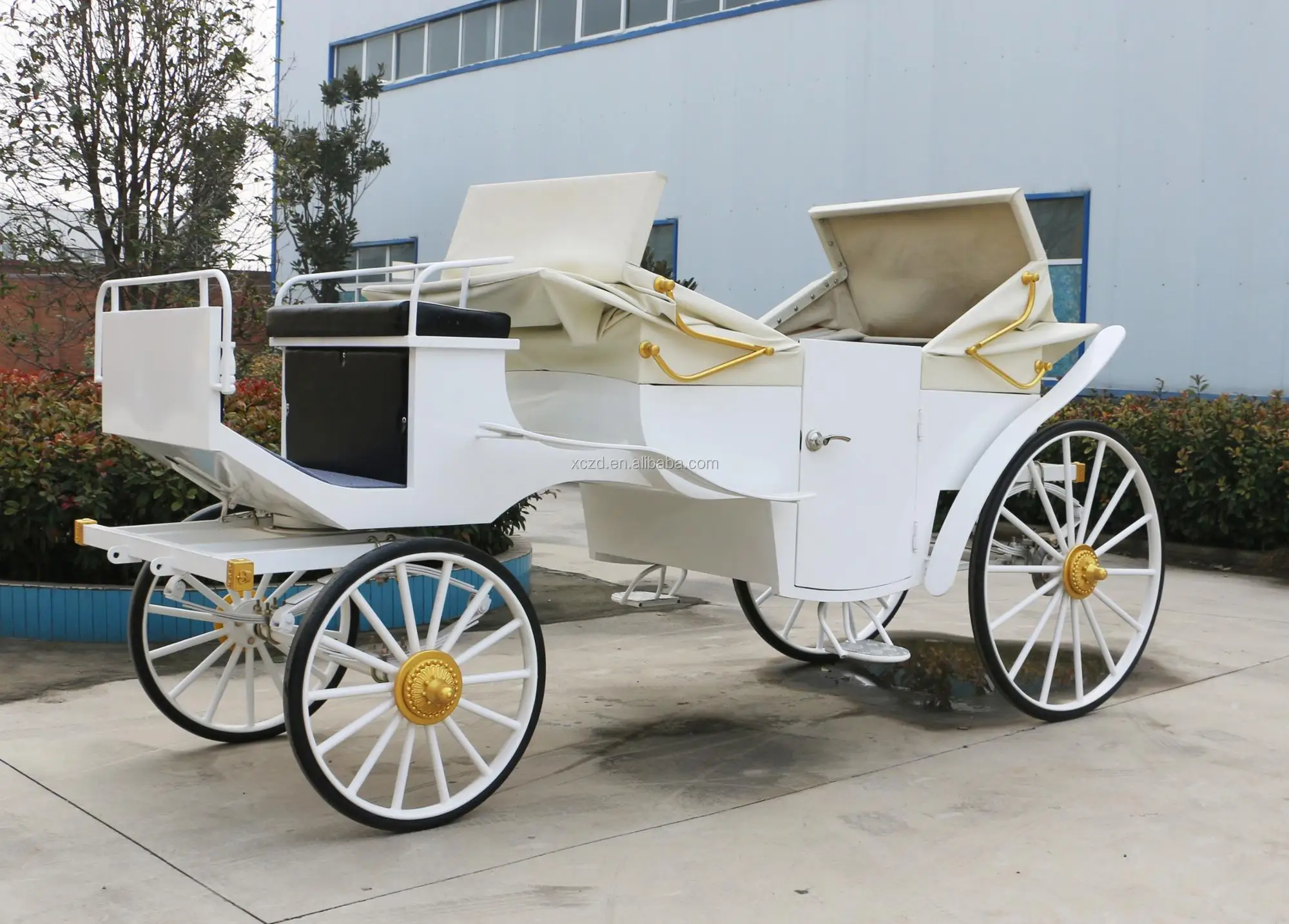 Romantic Sightseeing Horse Carriage White Wedding Carriage Visiting ...
