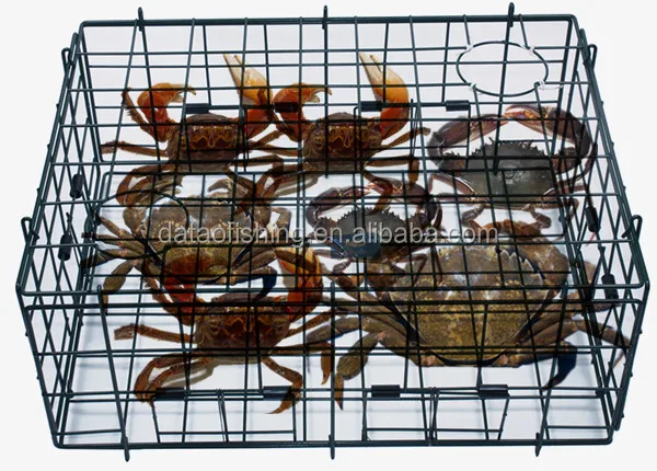 High Quality Round Folding Crab Traps - Buy Crab Traps For Sale,Folding ...