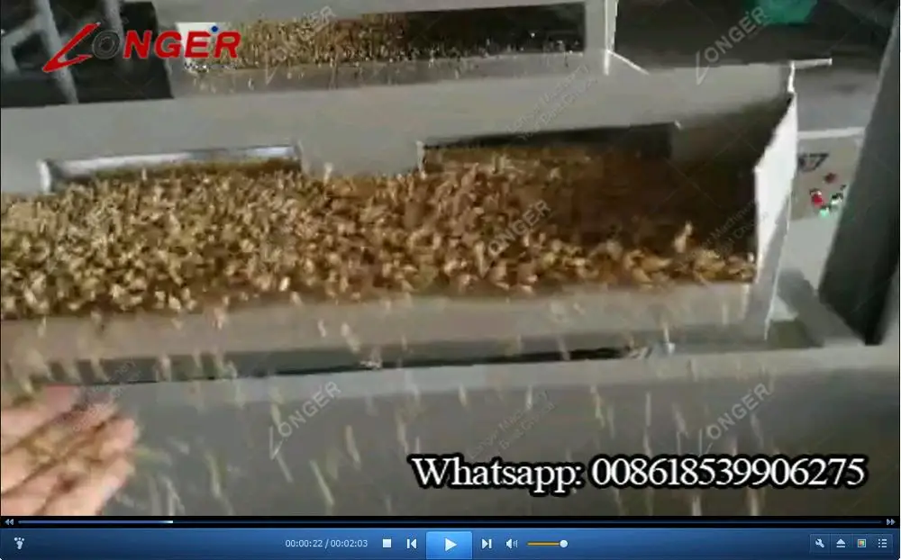 Professional Shell Removing Machinery Melon Pumpkin Seeds Hulling ...