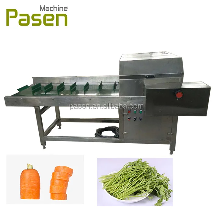 Long Beans Segments Cutting Machine / Scallion Root Cutter / Green ...