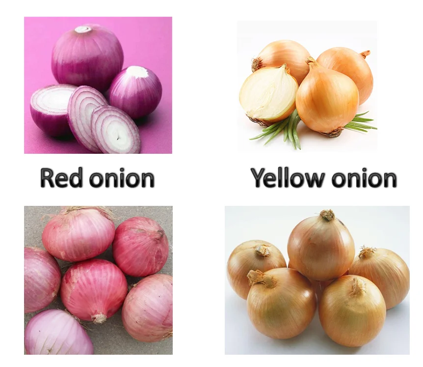 China Fresh Peeled Yellow White Onions For Sale - Buy Onions For Sale ...