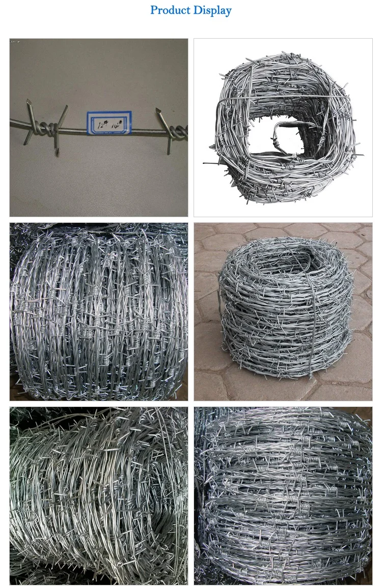 10 Gauge 12 Swg Galvanized 12.5 Gauge 14 / 15.5 Gauge Gi Wire 100m ...