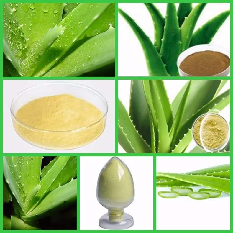 Aloe Vera Extractaloe Vera Gelaloe Vera Juicealoin 1510 20 40 Buy Aloin Aloe