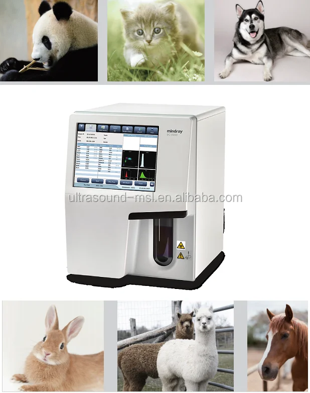 Veterinary Ivd Analyzer Mindray Bc-5000vet Automatic Hematology Machine ...