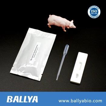 Pig Health Mycoplasma Hyopneumoniae Antibody Rapid Test Kit Veterinary ...