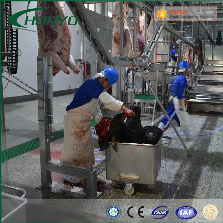 Auotomatic Or Manual Abattoir Halal Equipment Machinery Tools Line For ...
