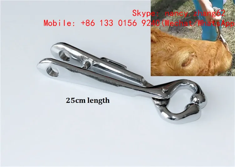 Stainless Steel Bull-holders,Bull Tongs For Cow And Cattle,With 35cm ...