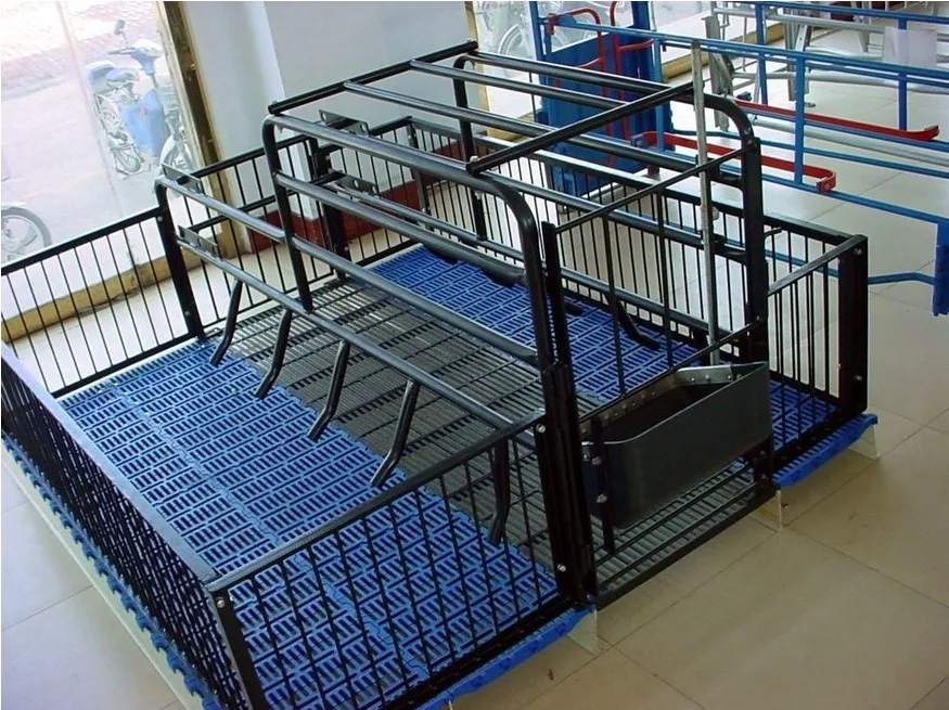High Quality Pig Cage/pig Equipment/poultry Farm Equipment - Buy Pig ...