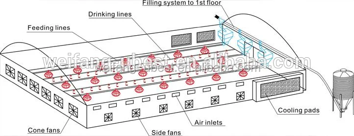 Poultry Farm Business Plan - Intelligent Chicken Farming