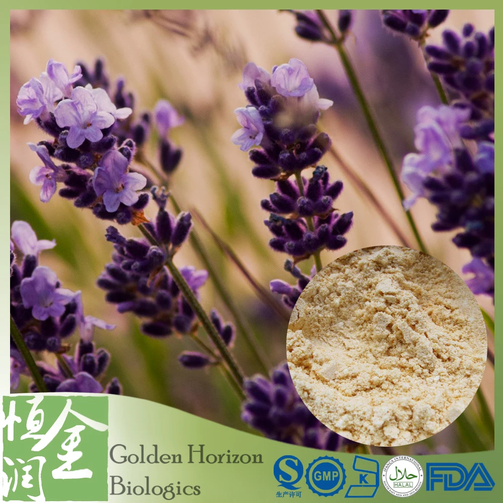 Dried Lavender Flower Powder Lavender Extract Powder - Buy Lavender ...