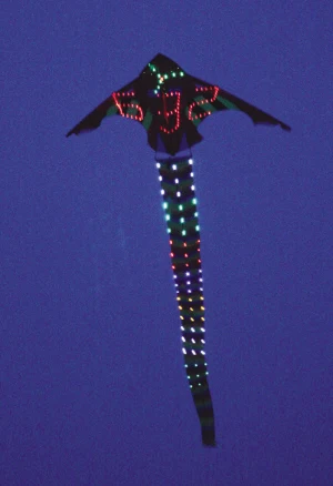 Customized LED Luminous Kite for Kids - OEM Available