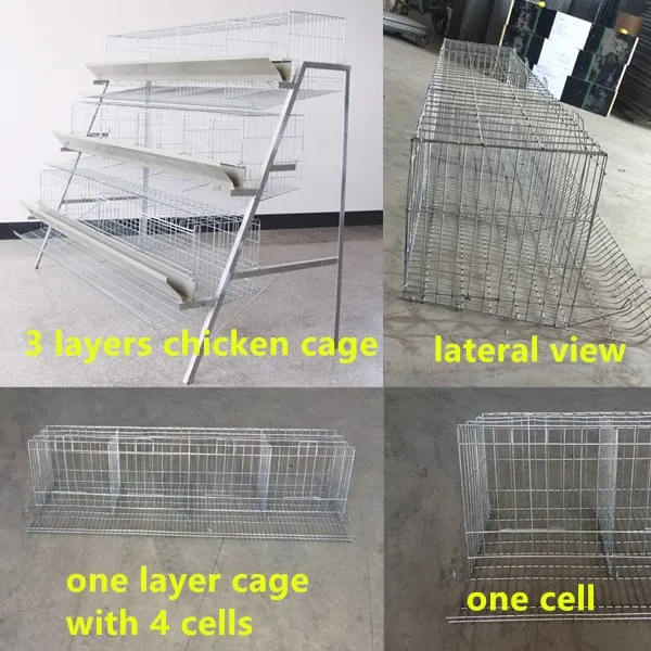Zambia Layer Poultry Farm Chicken Cage For Sale - Buy Layer Chicken ...