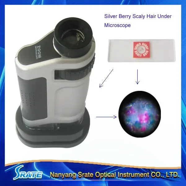 Portable Handheld Digital Microscope For Kids 20x-40x Silver Colour ...