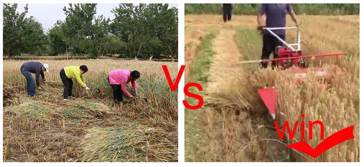 Tractor Mounted Mini Harvester: Affordable Wheat Cutter Price in ...