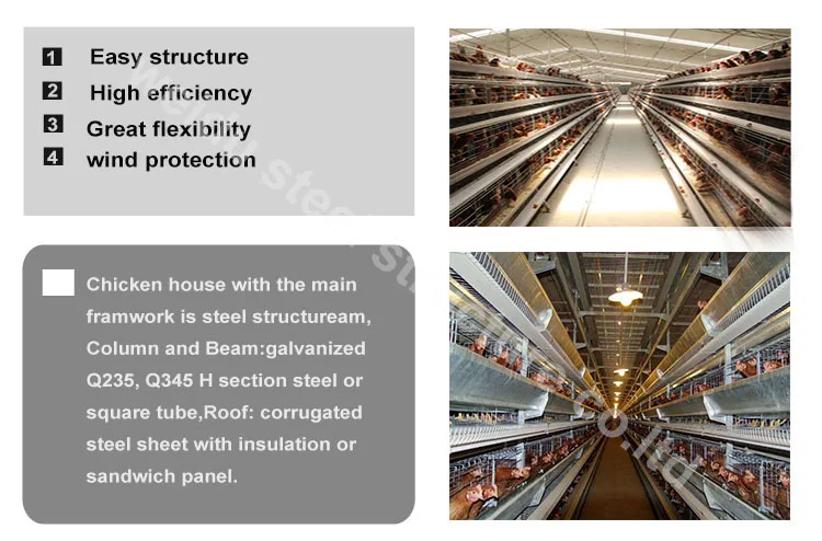 Prefab Chicken Farm Design - Modern Egg Layer Poultry House