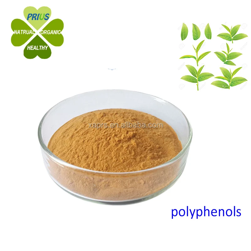 High Quality Green Tea Polyphenols Extract 98% Powder Tea Polyphenols ...