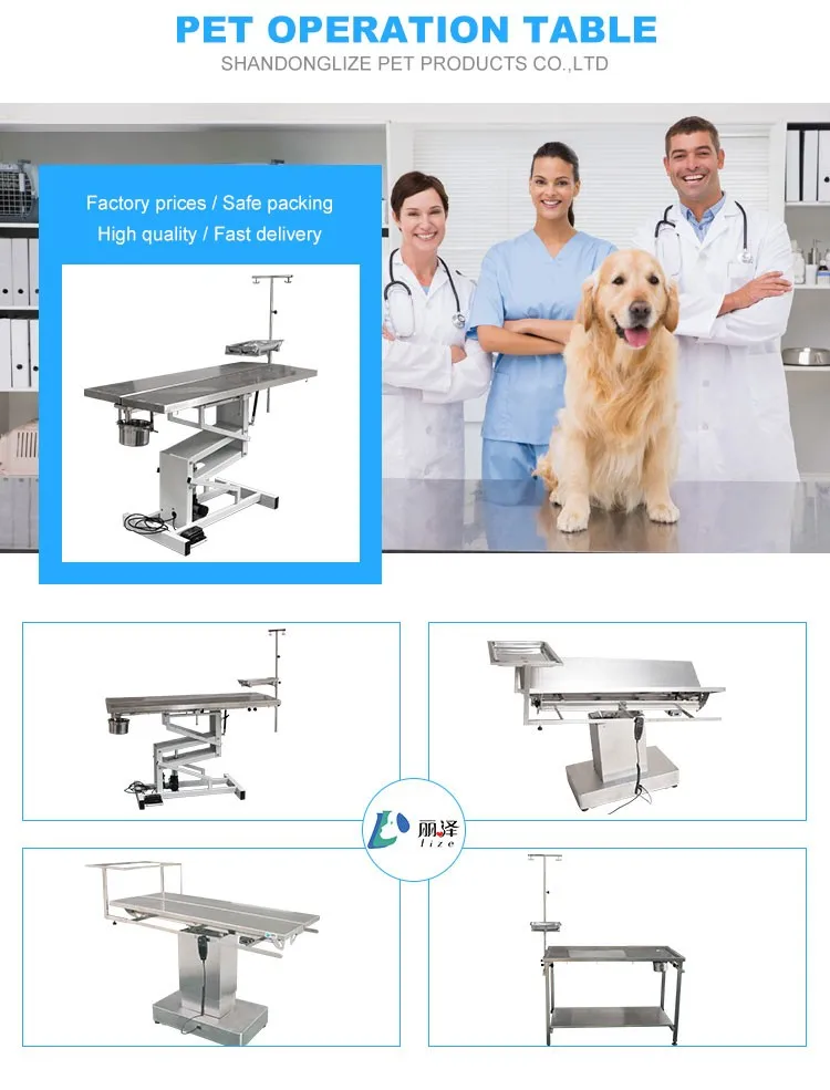 304 Stainless Steel Pet Operating Table Pet Inspection Stand with Low ...