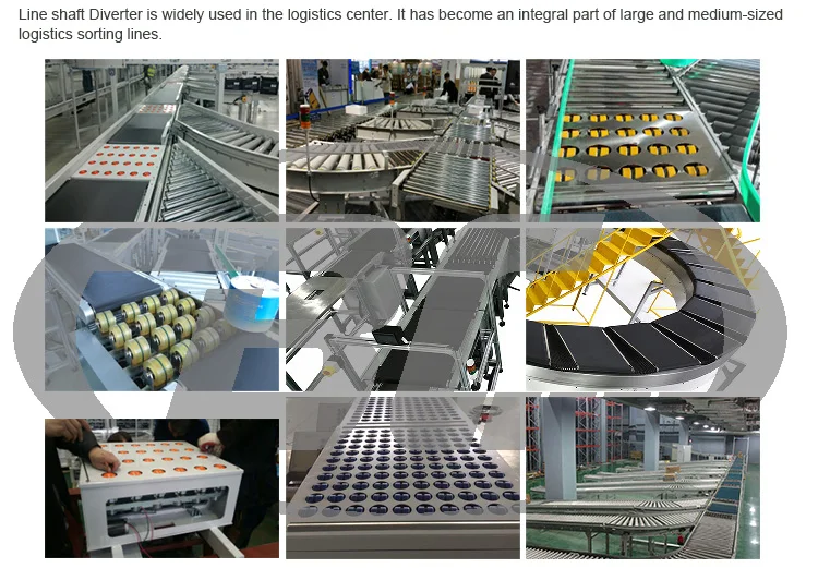 Activated Roller Belt Conveyor & Modular Belt Sorter for Efficient ...