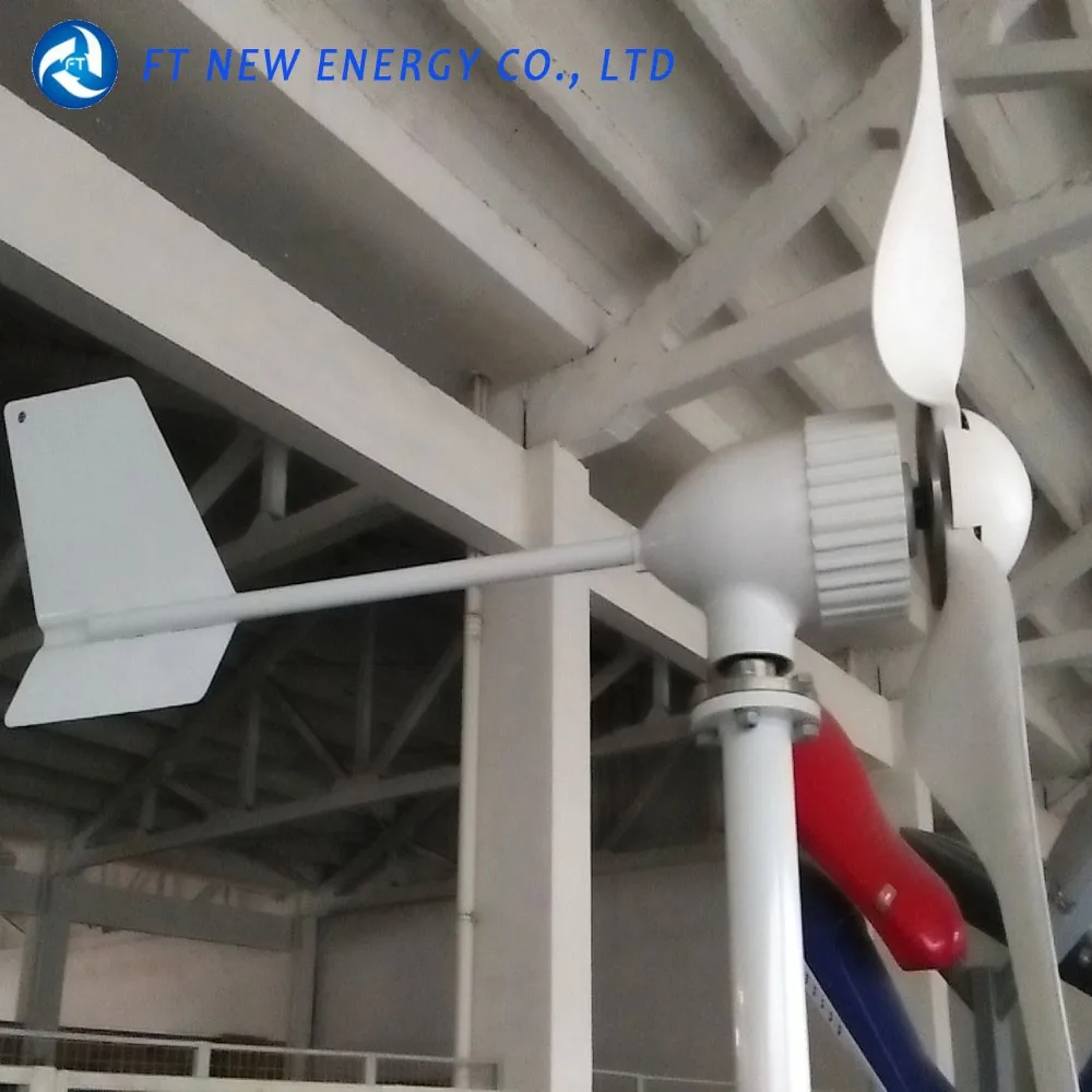 Long Service Life 500w Wind Dynamo Producer Wind Turbine Generator ...