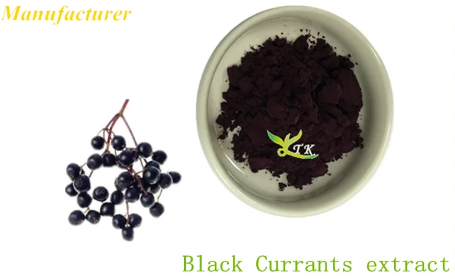 100% Nature (anthocyanins) Black Fruit Currant Extract Powder - Buy ...