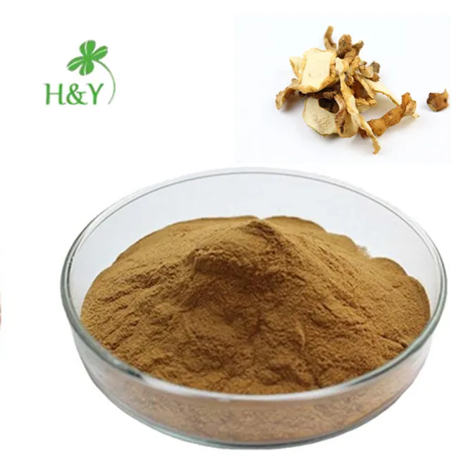 Pure Wild Chinese Huang Jing Sealwort Extract Polygonati Rhizoma ...