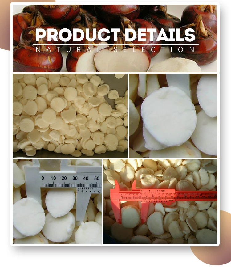 Frozen Water Chestnut Frozen Vegetable - Buy Iqf Frozen Water Chestnut ...