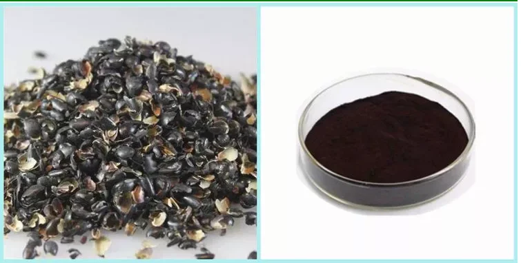 100% Pure Black Soybean Hull Extract - Health Food Ingredient