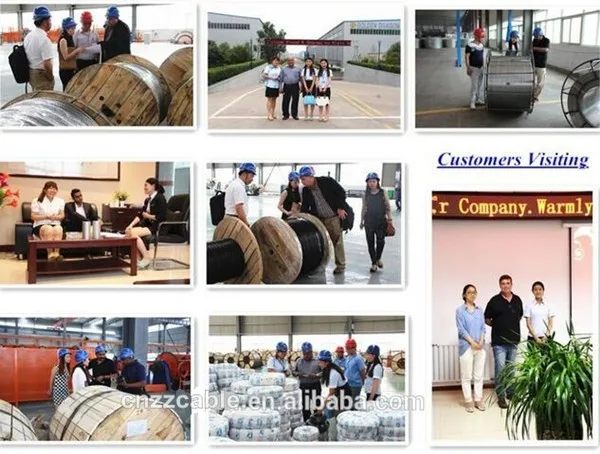 Overhead Aluminum Bare Conductor Aac/acsr/aaac/acar Cable 3/0 Pigeon ...