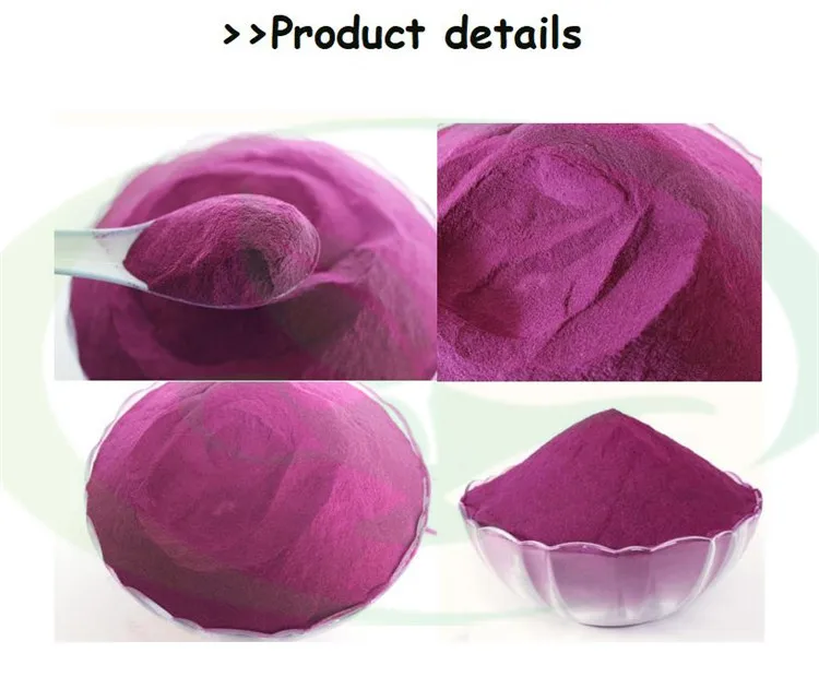 Iso Best Price Top Quality Organic Pure Powder Red Cabbage Extract ...