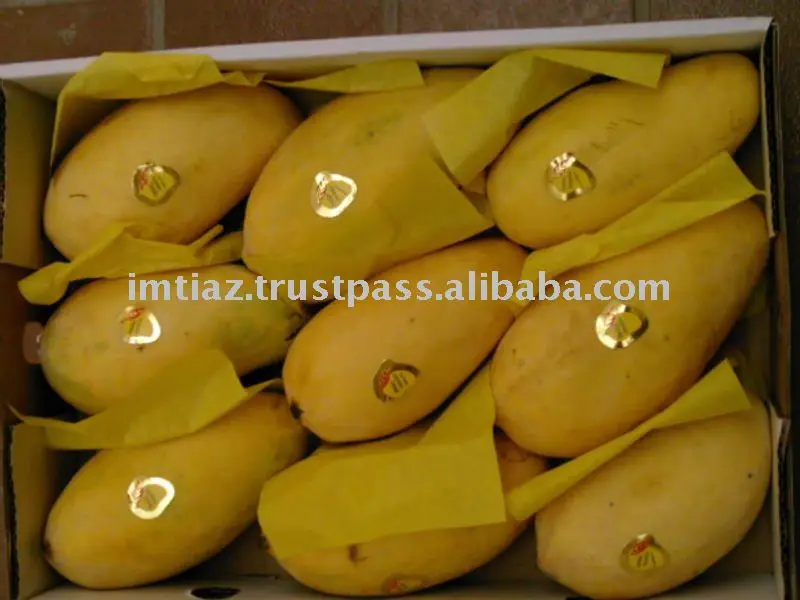 Mango Festival in Jazan Province (Saudi Arabia) | Pakistan Defence