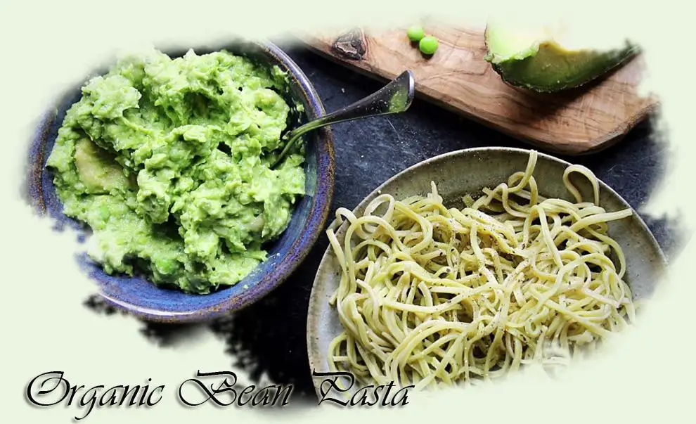 Tianjin ASO Organic Foods Co., Ltd. - Organic Pulse Pasta,Organic Bean ...