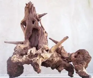 Mopani Wood Roots - Buy Mopani Roots Product on Alibaba.com