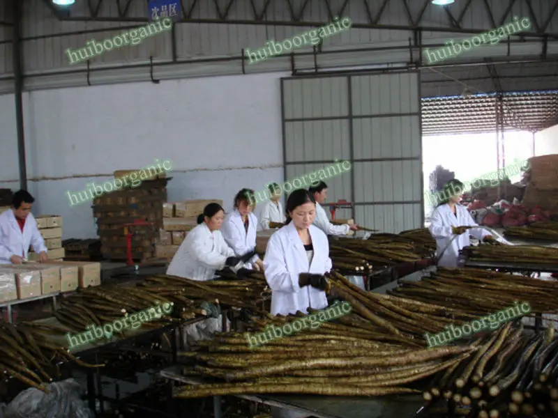 Dried Burdock Root Slices/ Burdock Root Tea / Burdock Granule| Alibaba.com