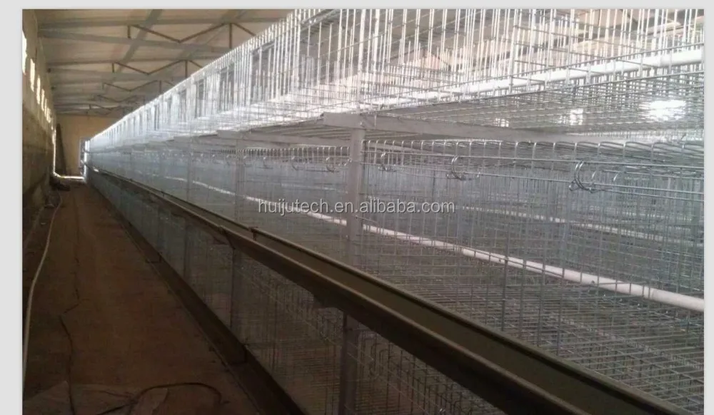 300 Quails Breeding Automatic Quail Cage - Durable & Efficient
