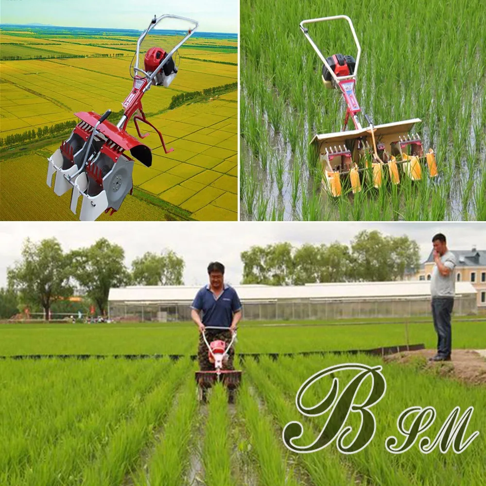 Farm Machine Equipment The Rice Paddy Cultivator Weeder - Buy Paddy ...